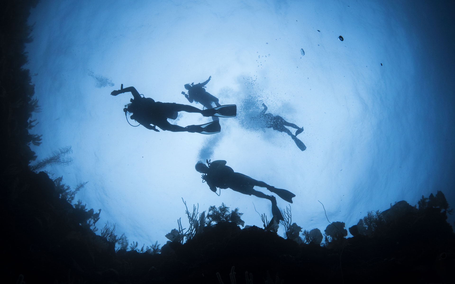 Roatan Diving Experience - Scuba Nomad Roatan